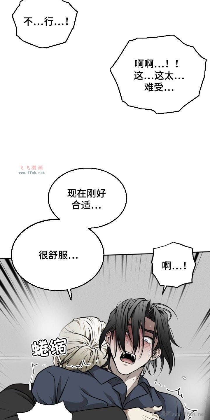 囚徒驯养漫画 第37章:皆大欢喜免费阅读 飞飞漫画