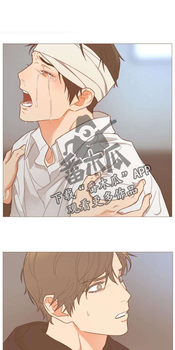 囚笼之爱漫画 第43章：你这是什么态度免费阅读 飞飞漫画